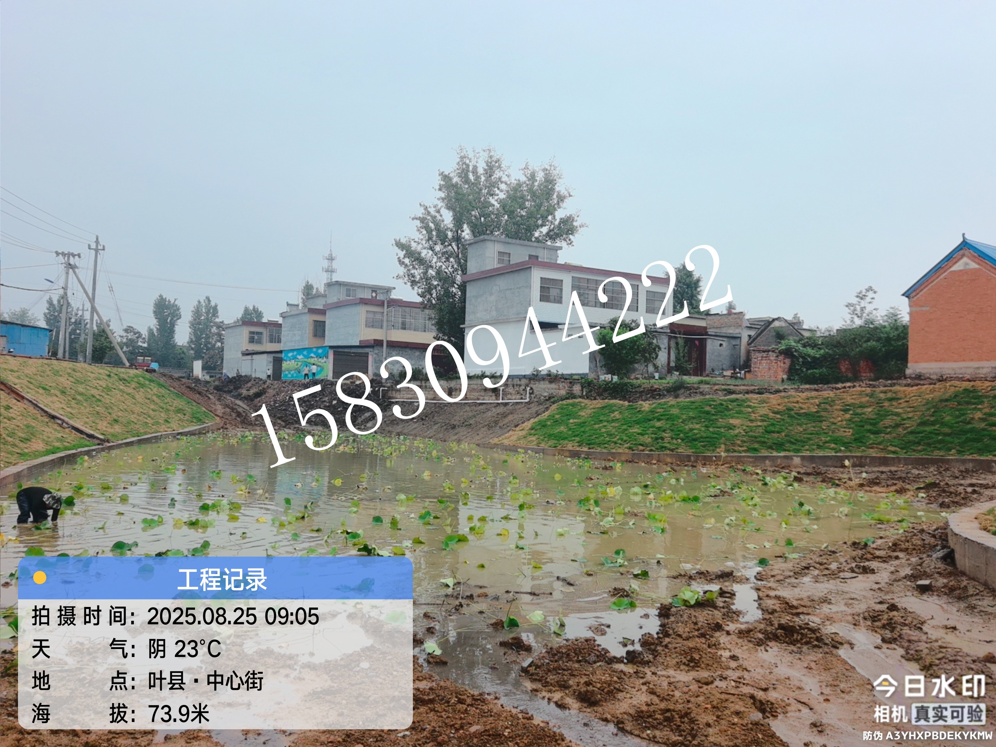 2026年至今，水生态修复睡莲苗生产商安新雨哲水生：如何以专业种苗与全流程服务赋能生态工程？ - 经济 - 华网，华网资讯，华网头条，华人网络家园